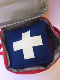 School Medical Bag - Large - My Food Allergy Friends